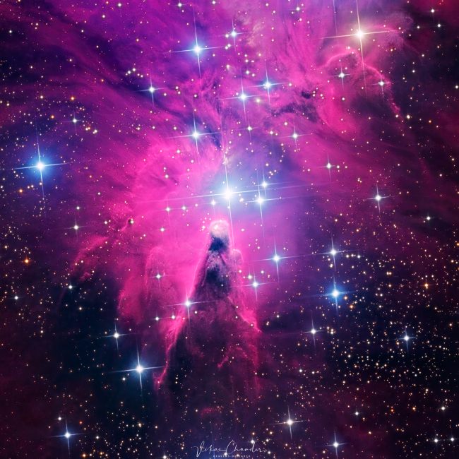 Fox Fur Nebula