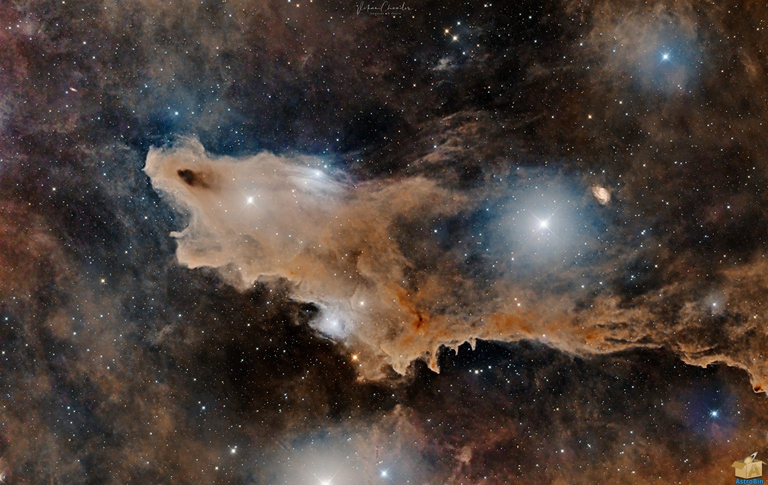 The Shark Nebula